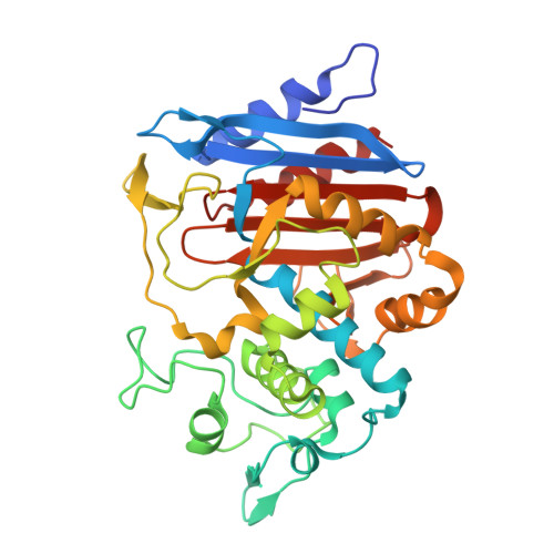 RCSB PDB - 4GDN: Structure of FmtA-like protein