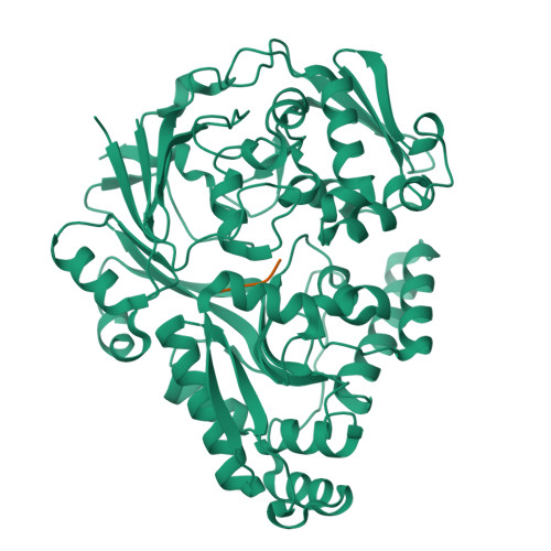 RCSB PDB - 4GL8: X-ray crystal structure of a periplasmic oligopeptide ...