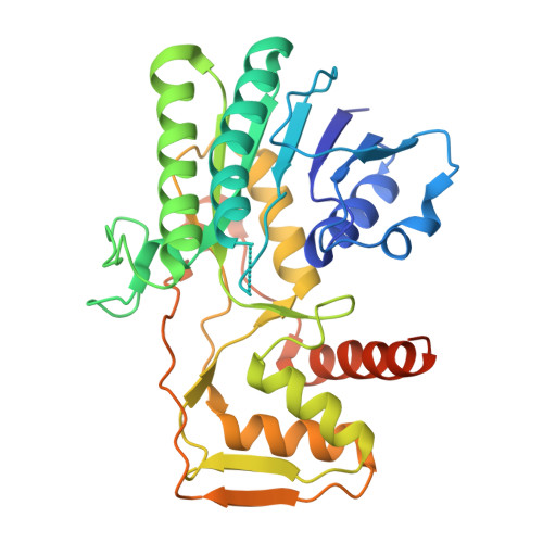 Gene Q8NBZ7 | Protein UXS1 - Cell line evidence | canSAR.ai
