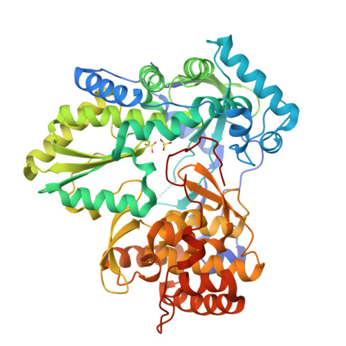 RCSB PDB - 4GMC: Crystal structure of HCV NS5B polymerase in complex ...