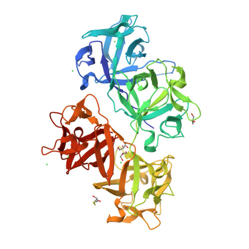 RCSB PDB - 4GP0: The crystal structure of human fascin 1 R149A K150A ...