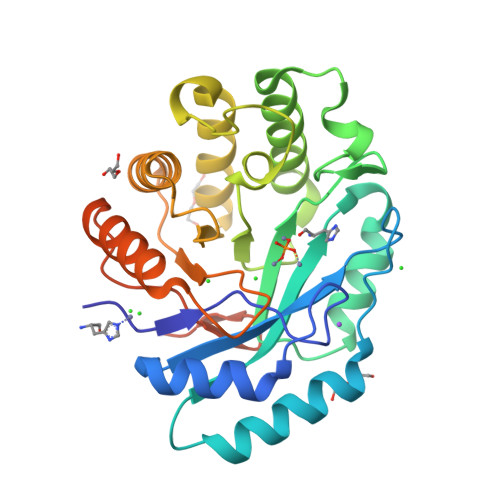 RCSB PDB - 4GYF: Crystal structure of histidinol phosphate phosphatase ...