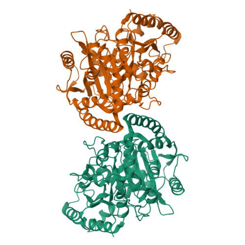 RCSB PDB - 4GYR: Granulibacter bethesdensis allophanate hydrolase apo