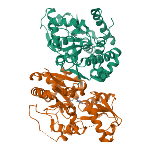 RCSB PDB - 4H6D: Crystal structure of PLP-soaked HMP synthase Thi5 from ...