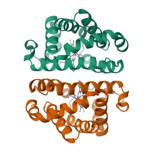 RCSB PDB - 4HBI: SCAPHARCA DIMERIC HEMOGLOBIN, MUTANT T72I, DEOXY FORM