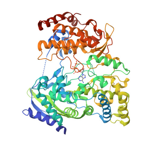 RCSB PDB - 4HDH: Crystal Structure of viral RdRp in complex with ATP