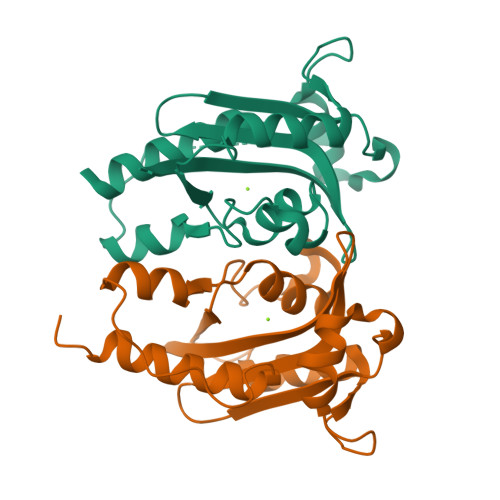 RCSB PDB - 4HEC: Crystal structure of a putative uncharacterized ...