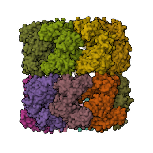 Rcsb Pdb 4hel Crystal Structure Analysis Of Apo Groel Structure