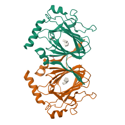 RCSB PDB - 4HMZ: Crystal Structure of ChmJ, a 3'-monoepimerase from ...