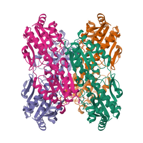 RCSB PDB - 4I4I: Crystal Structure of Bacillus stearothermophilus ...