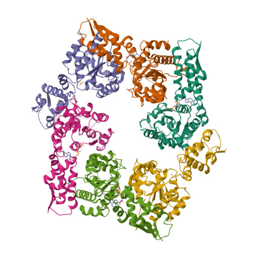 RCSB PDB - 4I81: Crystal Structure of ATPgS bound ClpX Hexamer