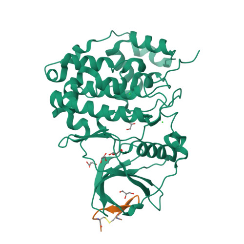 RCSB PDB - 4IB5: Structure of human protein kinase CK2 catalytic subunit in complex with a ...