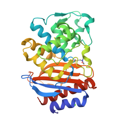 RCSB PDB - 4IBR: Crystal structure of stabilized TEM-1 beta-lactamase ...
