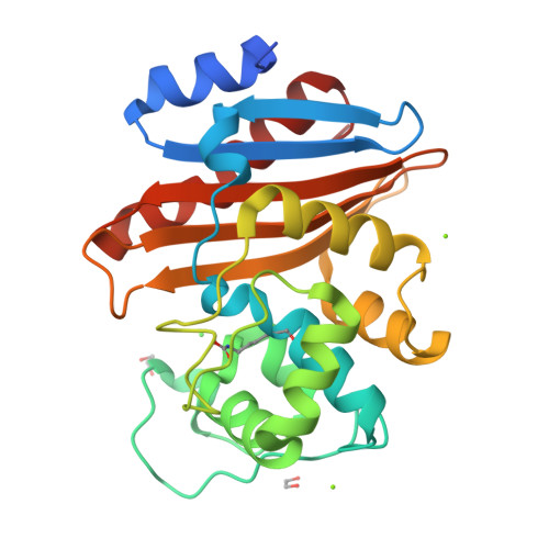 RCSB PDB - 4IED: Crystal Structure of FUS-1 (OXA-85), a Class D beta ...