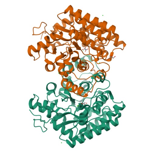 RCSB PDB - 4INF: Crystal structure of amidohydrolase saro_0799 (target ...