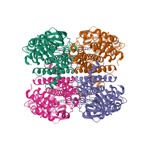 RCSB PDB - 4IV6: X-ray crystal structure of an isovaleryl-CoA ...