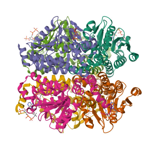 RCSB PDB - 4IZD: Crystal structure of DmdD E121A in complex with MMPA-CoA