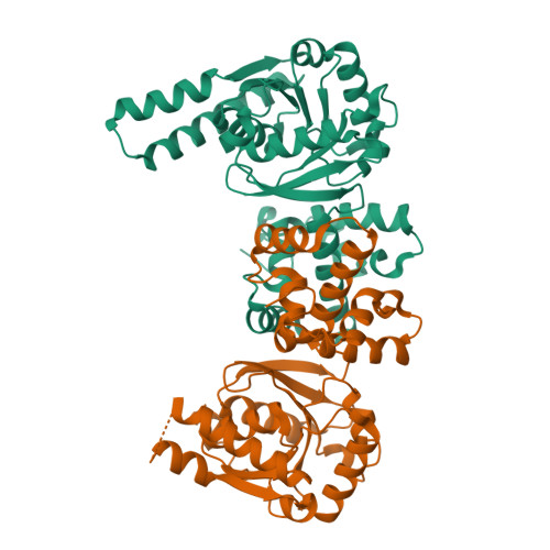 RCSB PDB - 4J0E: Crystal structure of 3-hydroxyacyl-CoA dehydrogenase ...