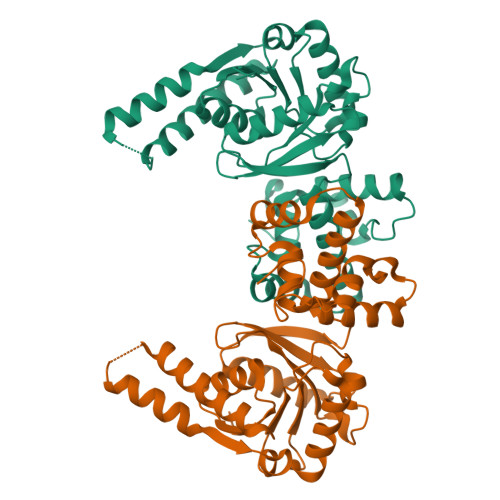 RCSB PDB - 4J0F: Crystal structure of 3-hydroxyacyl-CoA dehydrogenase ...