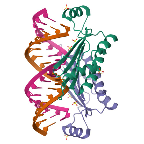RCSB PDB - 4J39: Crystal structure of p19 in complex with double ...