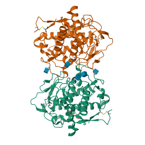 RCSB PDB - 4J3Q: Crystal structure of truncated catechol oxidase from ...