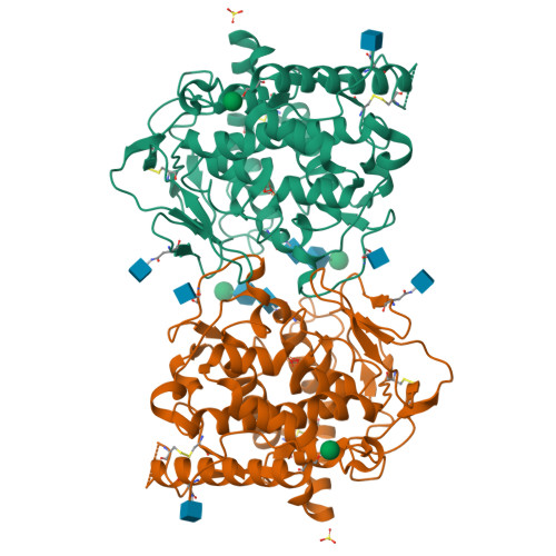 RCSB PDB - 4J3R: Crystal structure of catechol oxidase from Aspergillus ...