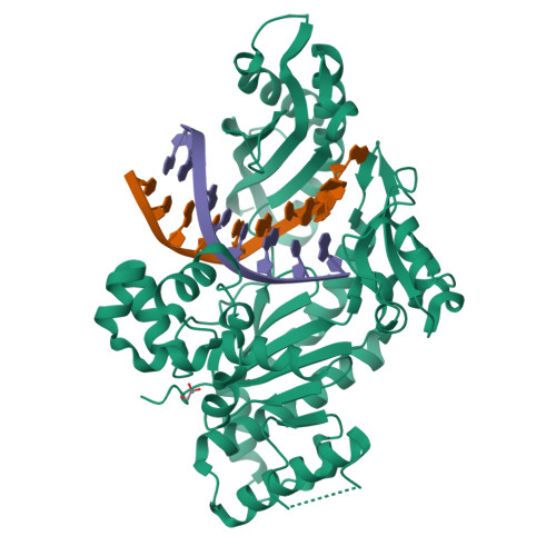 RCSB PDB - 4J9P: Human DNA polymerase eta-DNA postinsertion binary ...