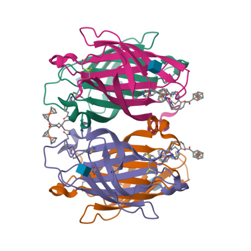 RCSB PDB - 4JHQ: Crystal structure of avidin - 6-(6 ...
