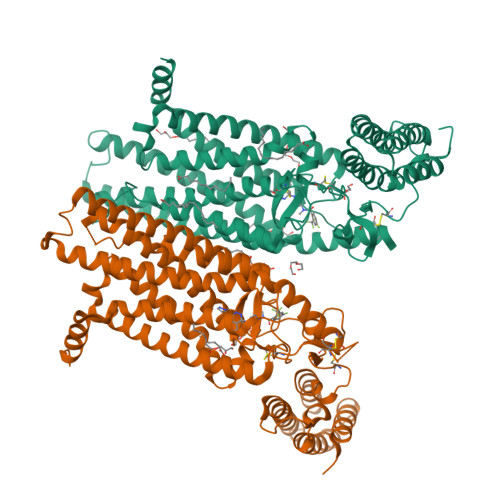 RCSB PDB - 4JKV: Structure of the human smoothened 7TM receptor in complex with an antitumor agent