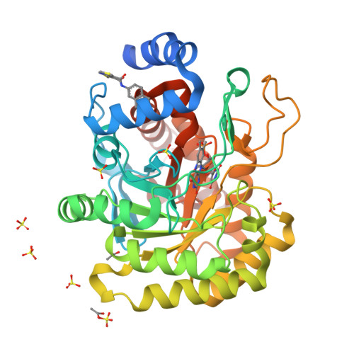 RCSB PDB - 4JTS: Crystal structure of human dihydroorotate ...