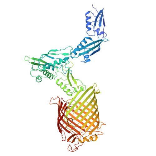RCSB PDB - 4K3B: The crystal structure of BamA from Neisseria gonorrhoeae