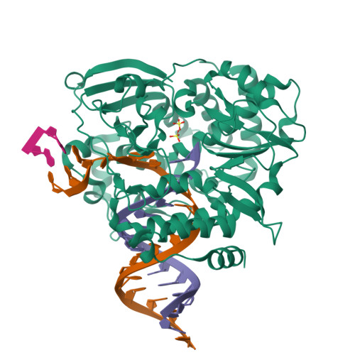 RCSB PDB - 4K4U: Poliovirus polymerase elongation complex (r5_form)