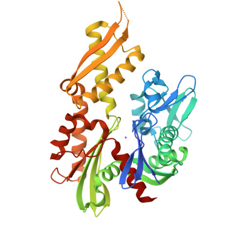 RCSB PDB - 4KBO: Crystal structure of the human Mortalin (GRP75) ATPase ...