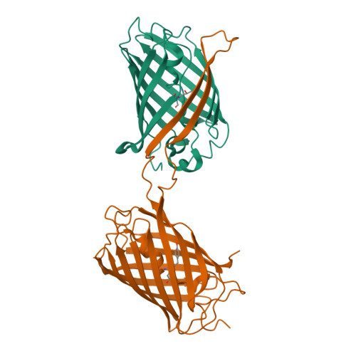 RCSB PDB - 4KF5: Crystal Structure of Split GFP complexed with ...