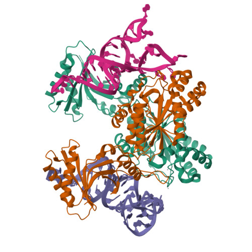 RCSB PDB - 4KR6: Crystal structure of a 4-thiouridine synthetase - RNA ...