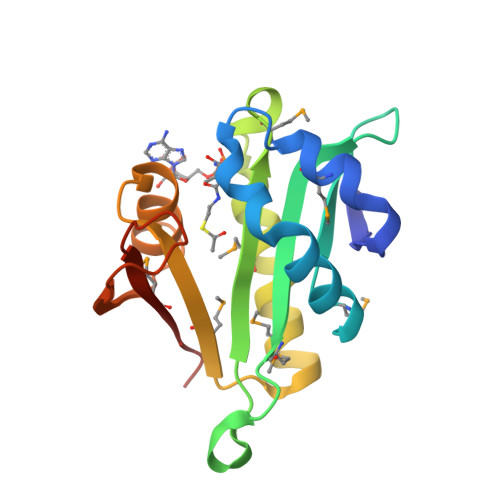 RCSB PDB - 4KVX: Crystal structure of Naa10 (Ard1) bound to AcCoA