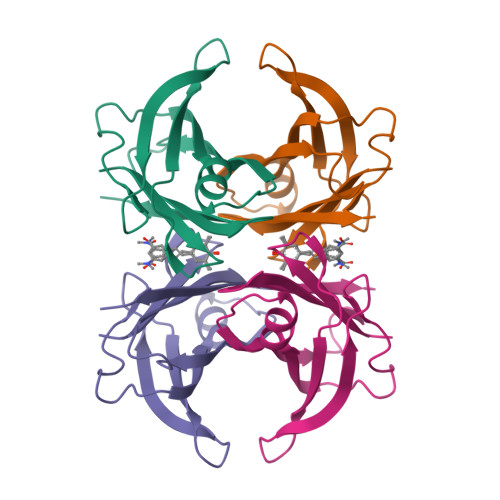 RCSB PDB - 4L1T: Transthyretin in complex with (E)-3-(dimethylamino)-5 ...