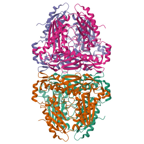 RCSB PDB - 4L4Q: Methionine Adenosyltransferase
