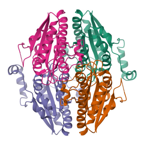 RCSB PDB - 4LA4: Crystal structure of native PnpB