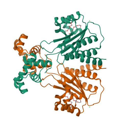 RCSB PDB - 4LFU: Crystal structure of Escherichia coli SdiA in the ...