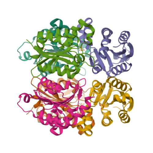 RCSB PDB - 4LHB: Crystal structure of tungsten cofactor synthesizing ...