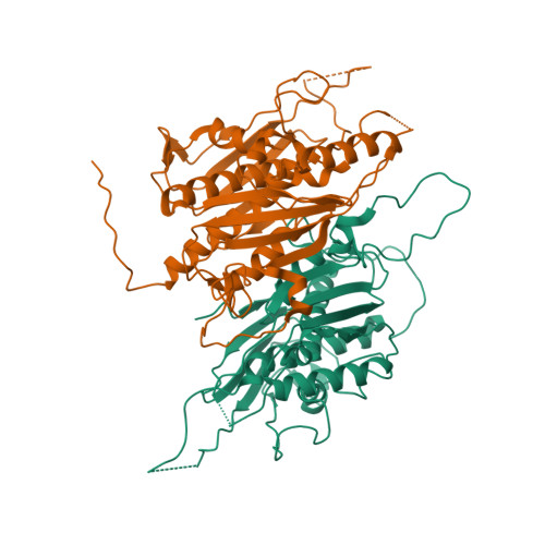 RCSB PDB - 4LJ2: Crystal structure of chorismate synthase from ...