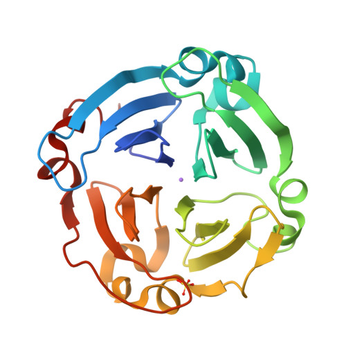 RCSB PDB - 4LL2: Crystal structure of plant lectin with two metal ...