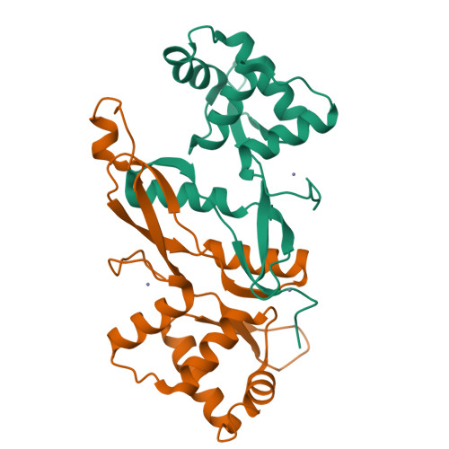 RCSB PDB - 4LMY: Structure of GAS PerR-Zn-Zn