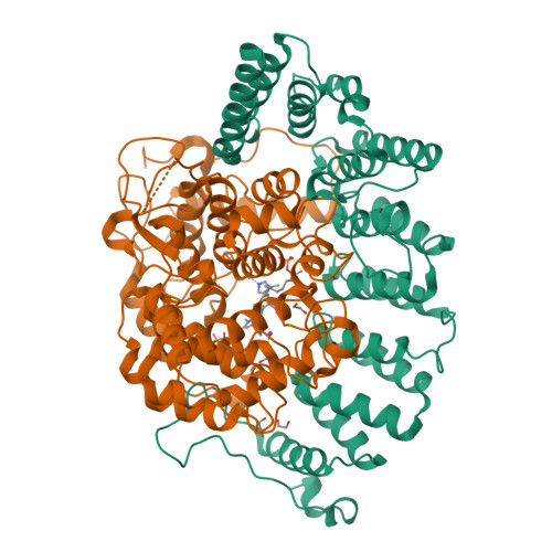 RCSB PDB - 4LNG: Aspergillus fumigatus protein farnesyltransferase ...