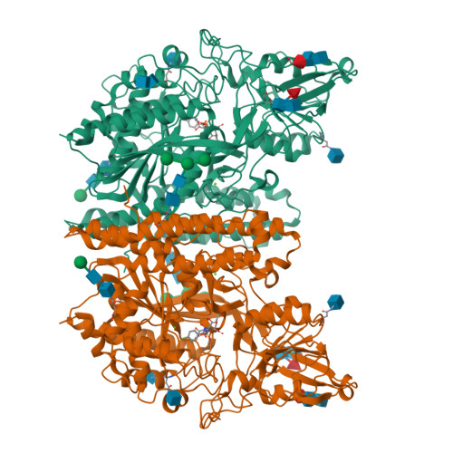 RCSB PDB - 4LQG: X-ray structure of human glutamate carboxypeptidase II ...