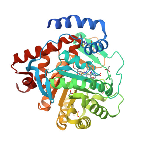 RCSB PDB - 4LS1: Crystal structure of human dihydroorotate ...