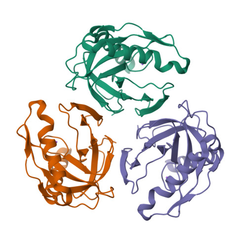 RCSB PDB - 4LUG: Crystal structure of Inorganic Pyrophosphatase PPA1 ...