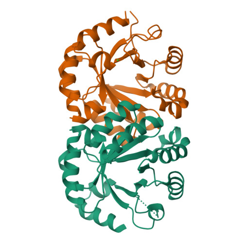 RCSB PDB - 4LUI: Crystal structure of Orotidine 5'-monophosphate ...