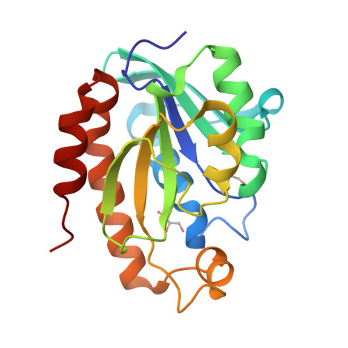 RCSB PDB - 4LWQ: Crystal structure of native peptidyl t-RNA hydrolase ...